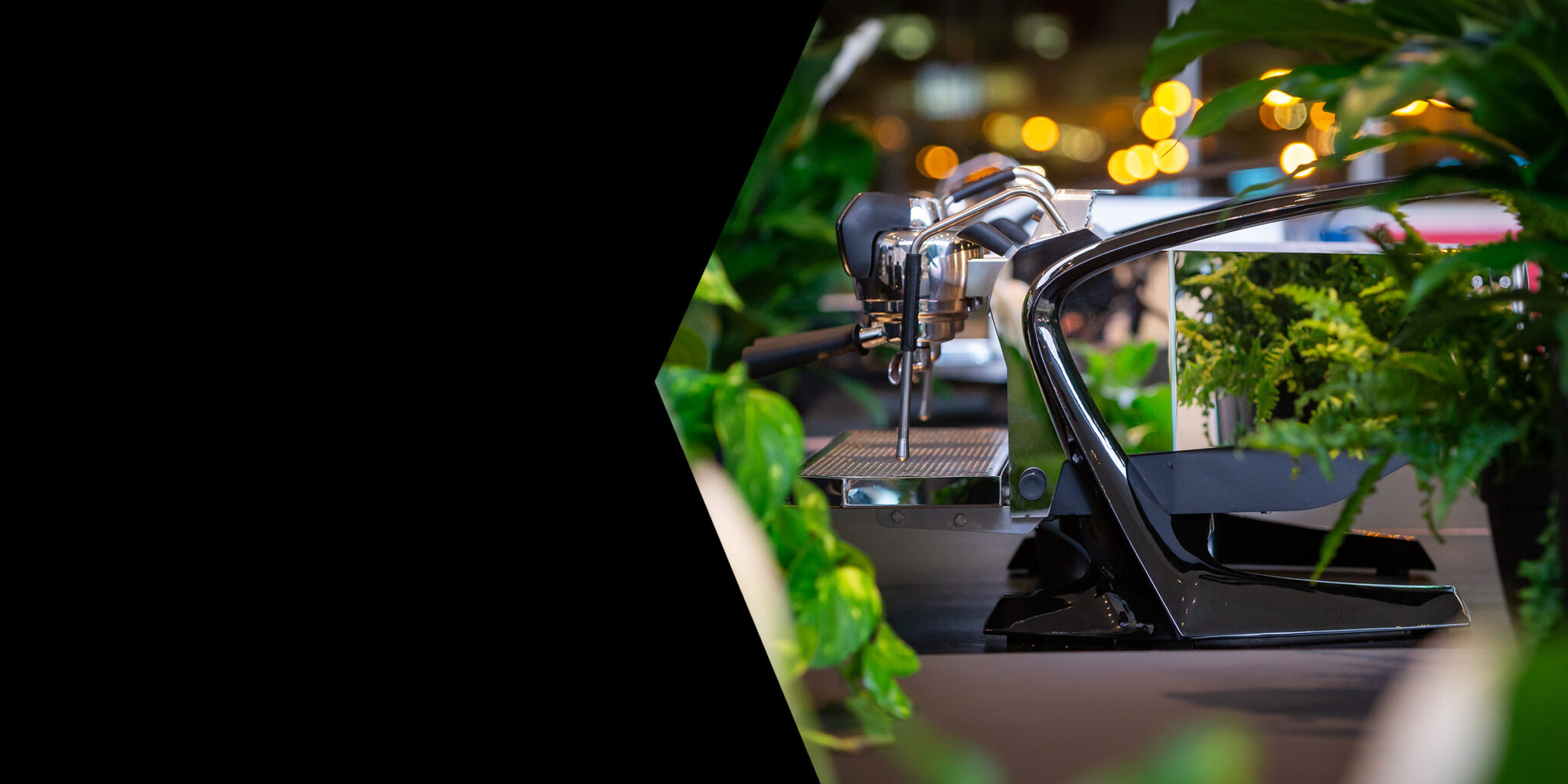 Steam LP - Slayer Espresso